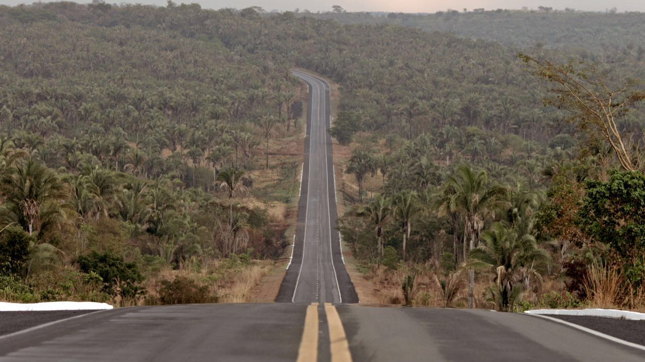 Semana do Meio Ambiente: Especial Amazônia - Blog Ecofalante