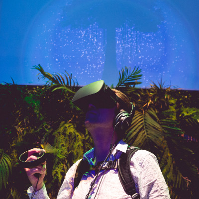 Tree - Experiência Multissensorial (VR) | Mostra Ecofalante de Cinema