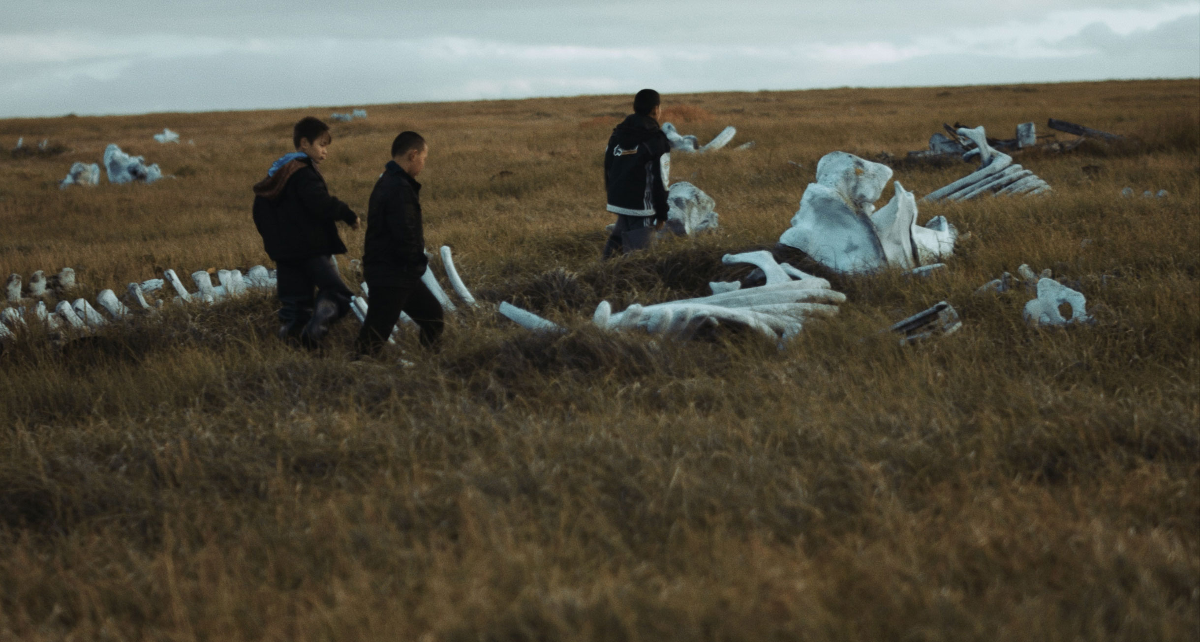 A Baleia de Lorino | Mostra Ecofalante de Cinema