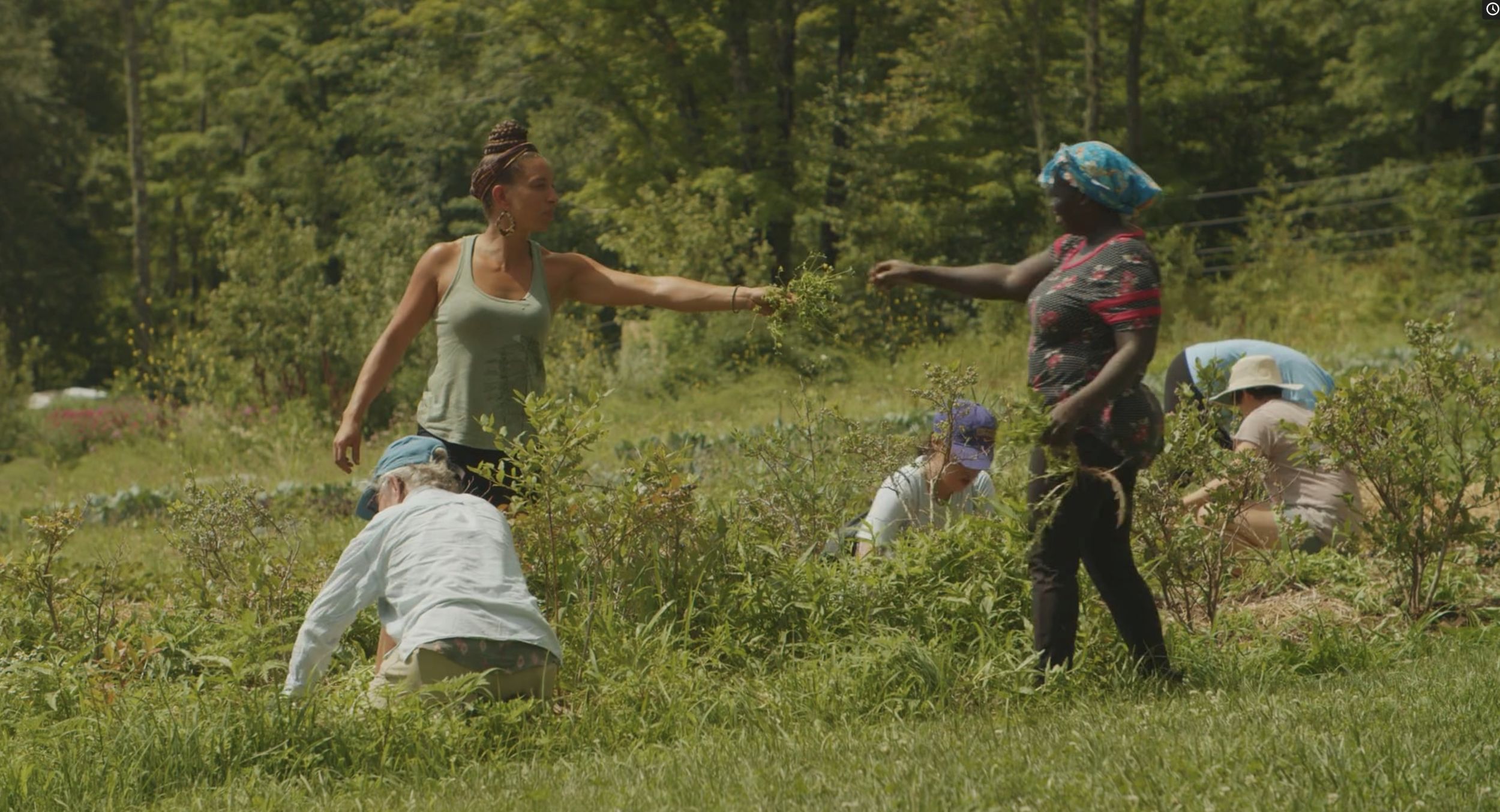 Terra negra, mãos negras | Mostra Ecofalante de Cinema